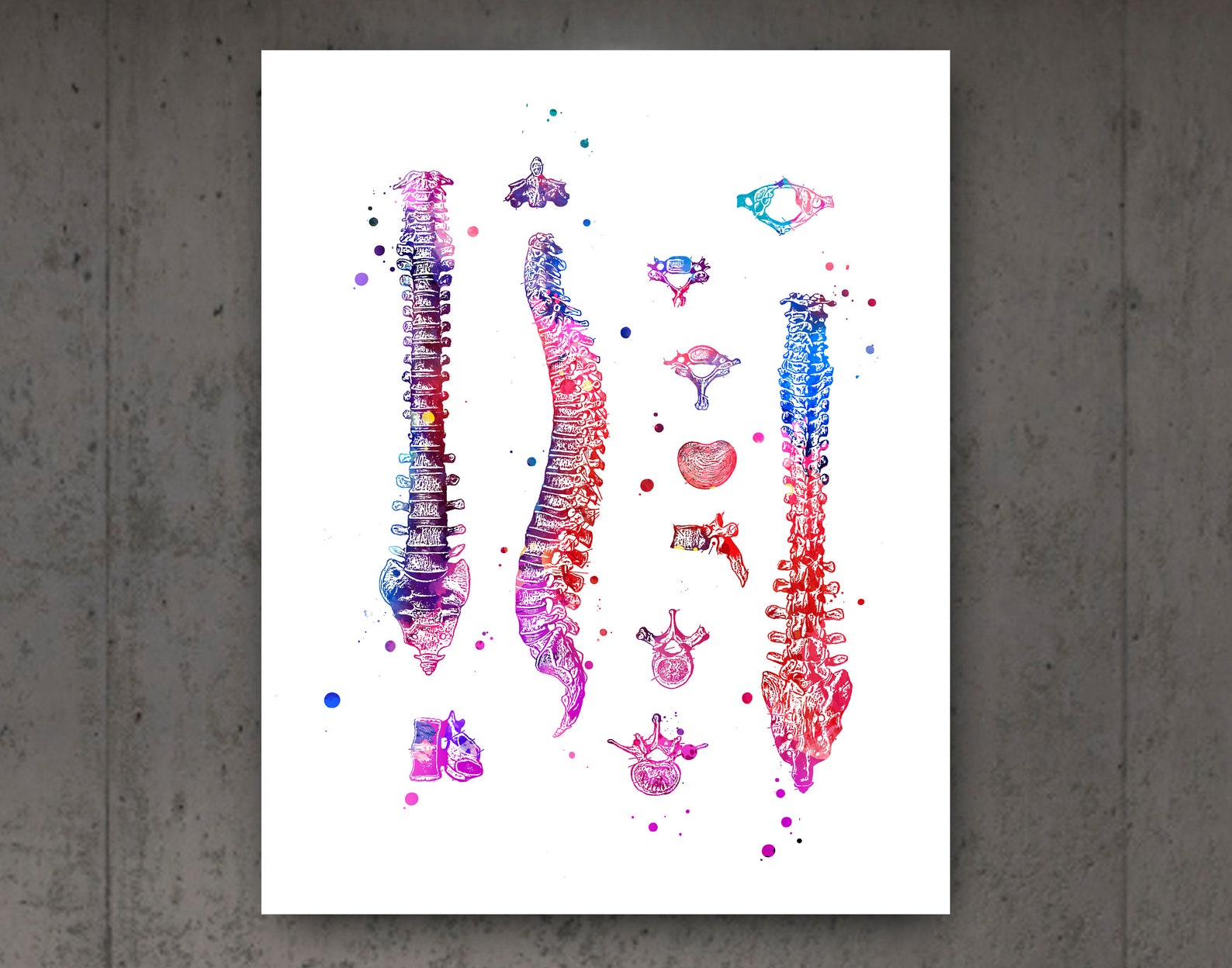Skeleton Anatomy Print Set 8 Skeletal Bones Watercolor Art Skull Rib ...