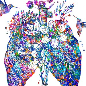 Doctor Gift, Anatomy Lungs and Hummingbirds Art, Watercolor Bronchi ...
