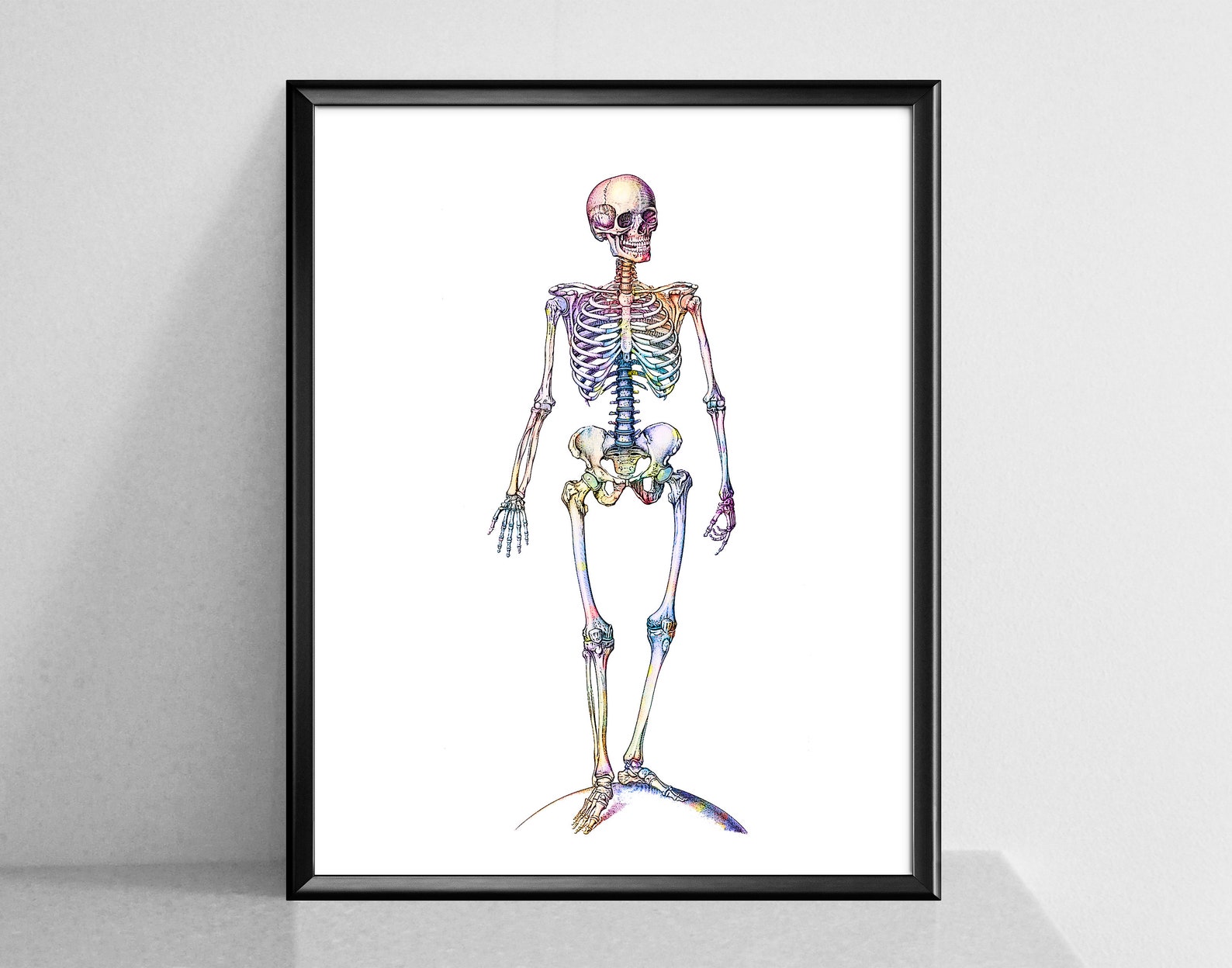 Human Anatomy Watercolor Print Set of 6 Skeletal Bones | Etsy
