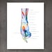Hand Anatomy Print Set of 6 Wrist Muscles and Ligaments Print ...