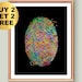 Male Perineal Anatomy Poster, Pelvic Floor Art, Genitourinary System ...
