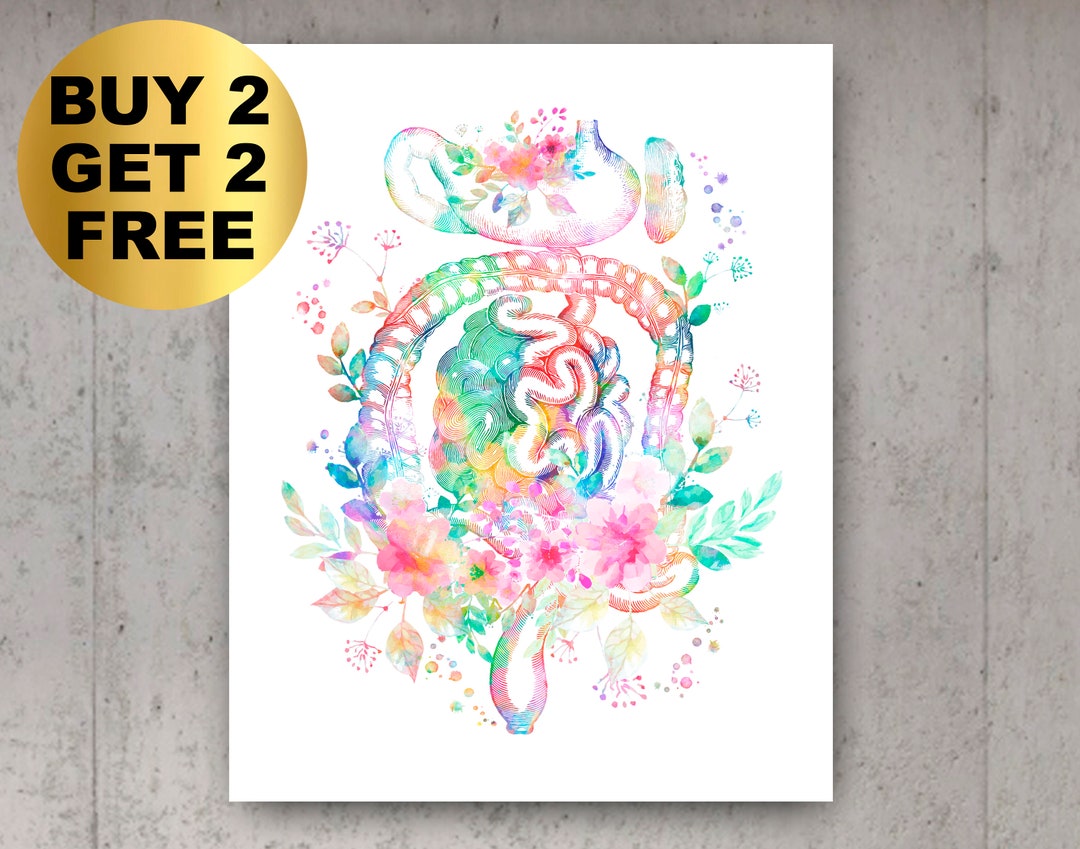 Digestive System Art Floral Anatomy Art Watercolor Decor Medical Poster ...