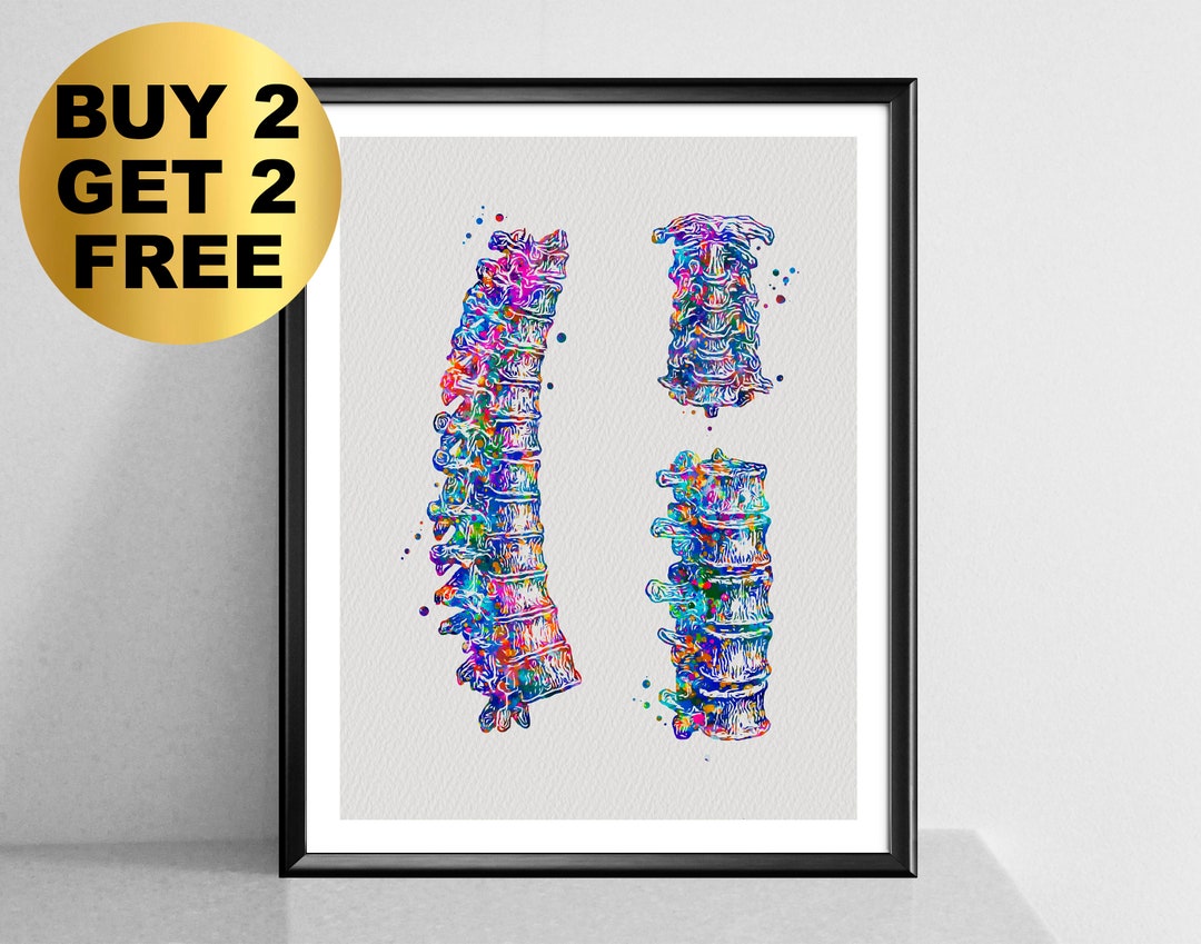 Spine Watercolor Art Vertebral Column Art Medical Poster Spine Center ...