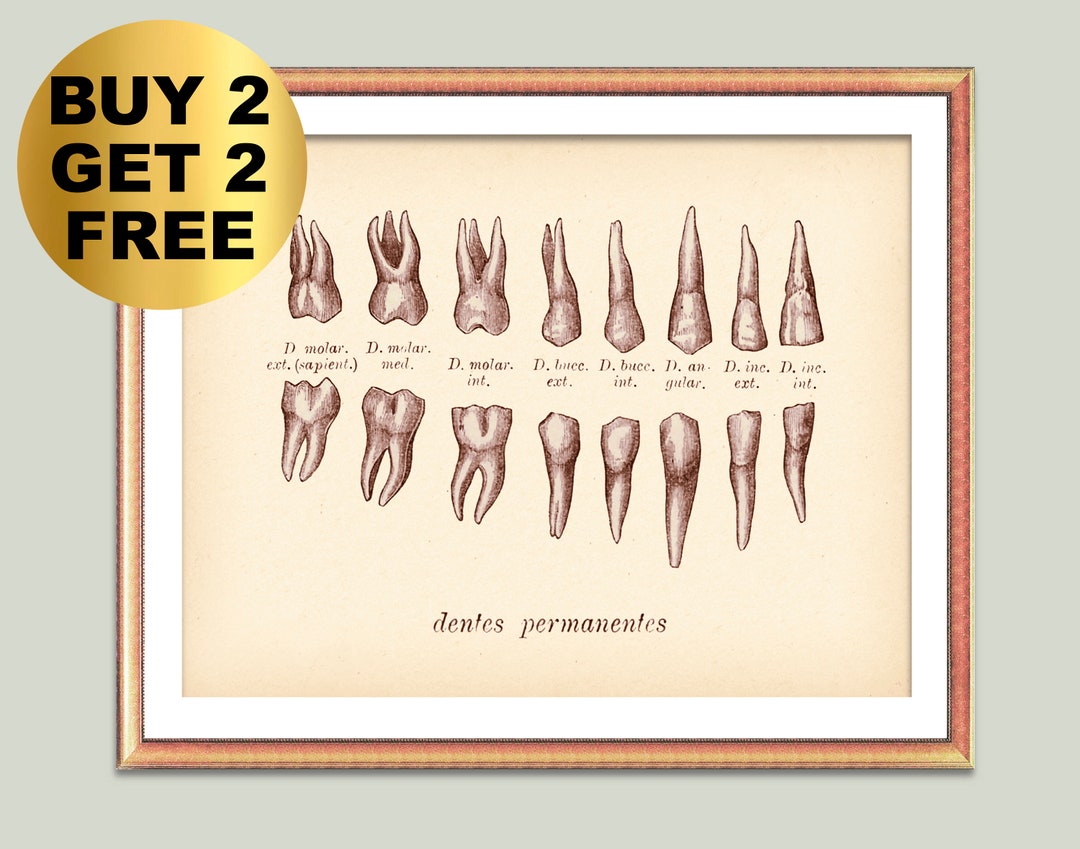 Vintage Dental Art, Antique Teeth Poster, Dentist Decor, Dental Clinic ...