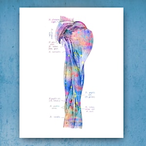 6 Anatomical Artwork, Foot Anatomy Poster, Podiatrist Gift, Foot ...