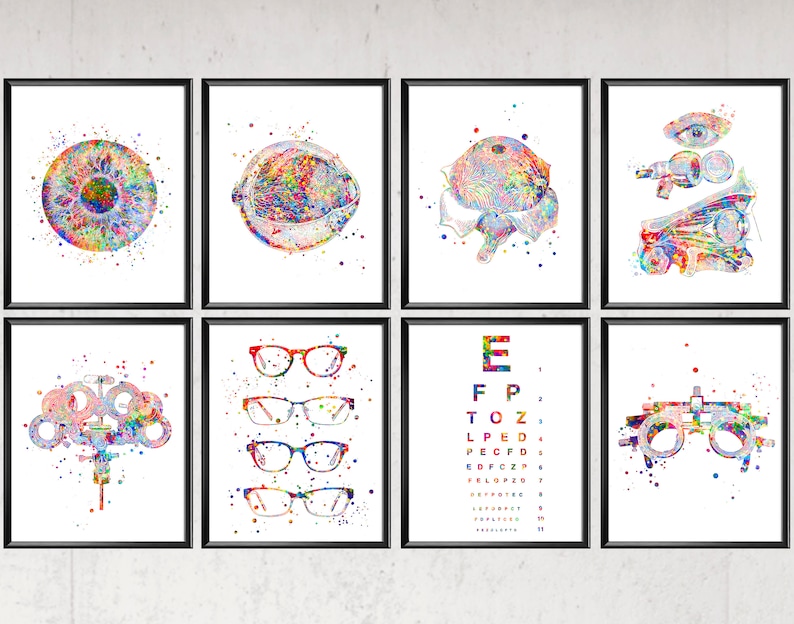 Optometrist Office Decor Eye Anatomy Art Ophthalmology - Etsy