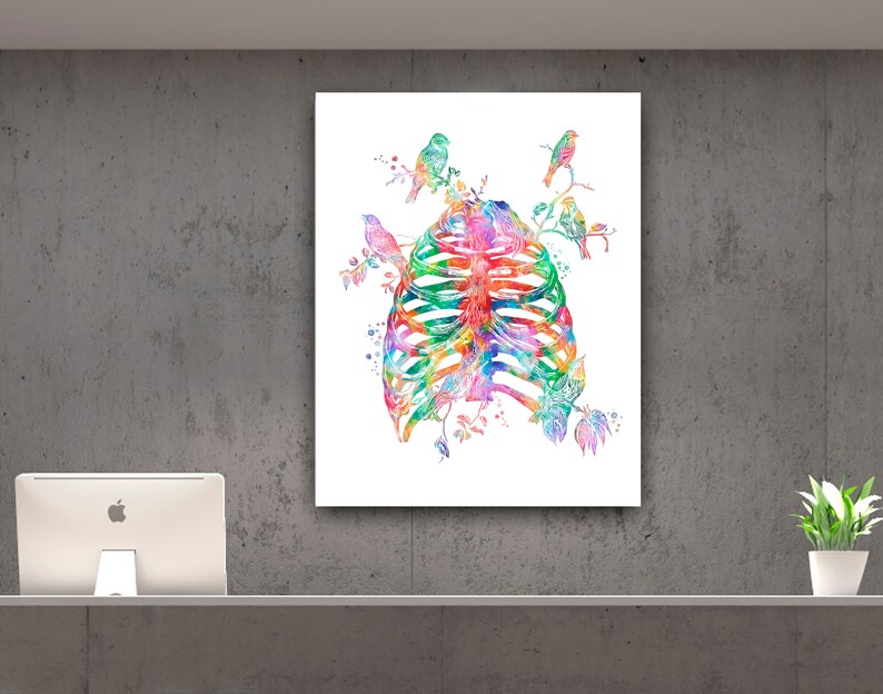 4 Skeletal Bones Artwork Anatomy Art Human Skull Rib Cage - Etsy