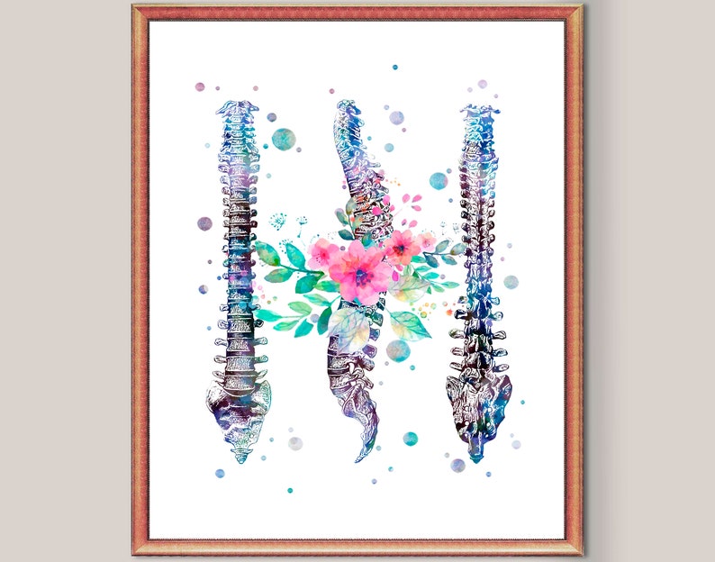 Spine Anatomy Art Skeletal System Art Vertebra Art Spinal Column Art ...