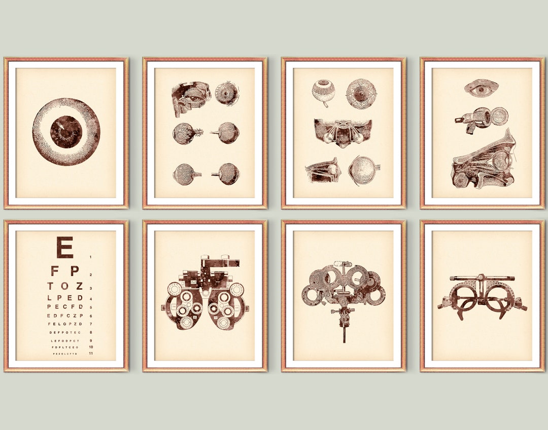8 Optometry Art, Anatomical Eye Vintage Poster, Refractor Art, Human ...
