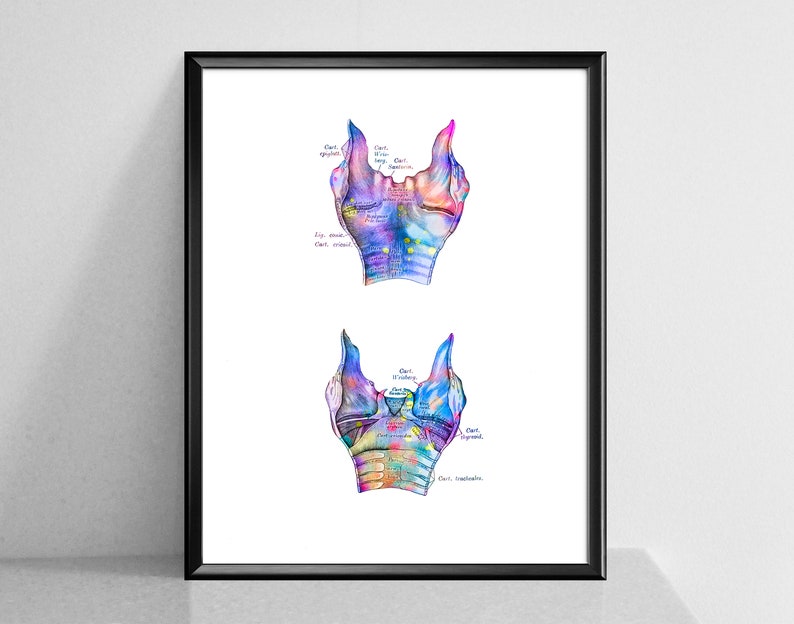4 Respiratory System Anatomy Poster Anatomical Lungs Art Trachea Art ...