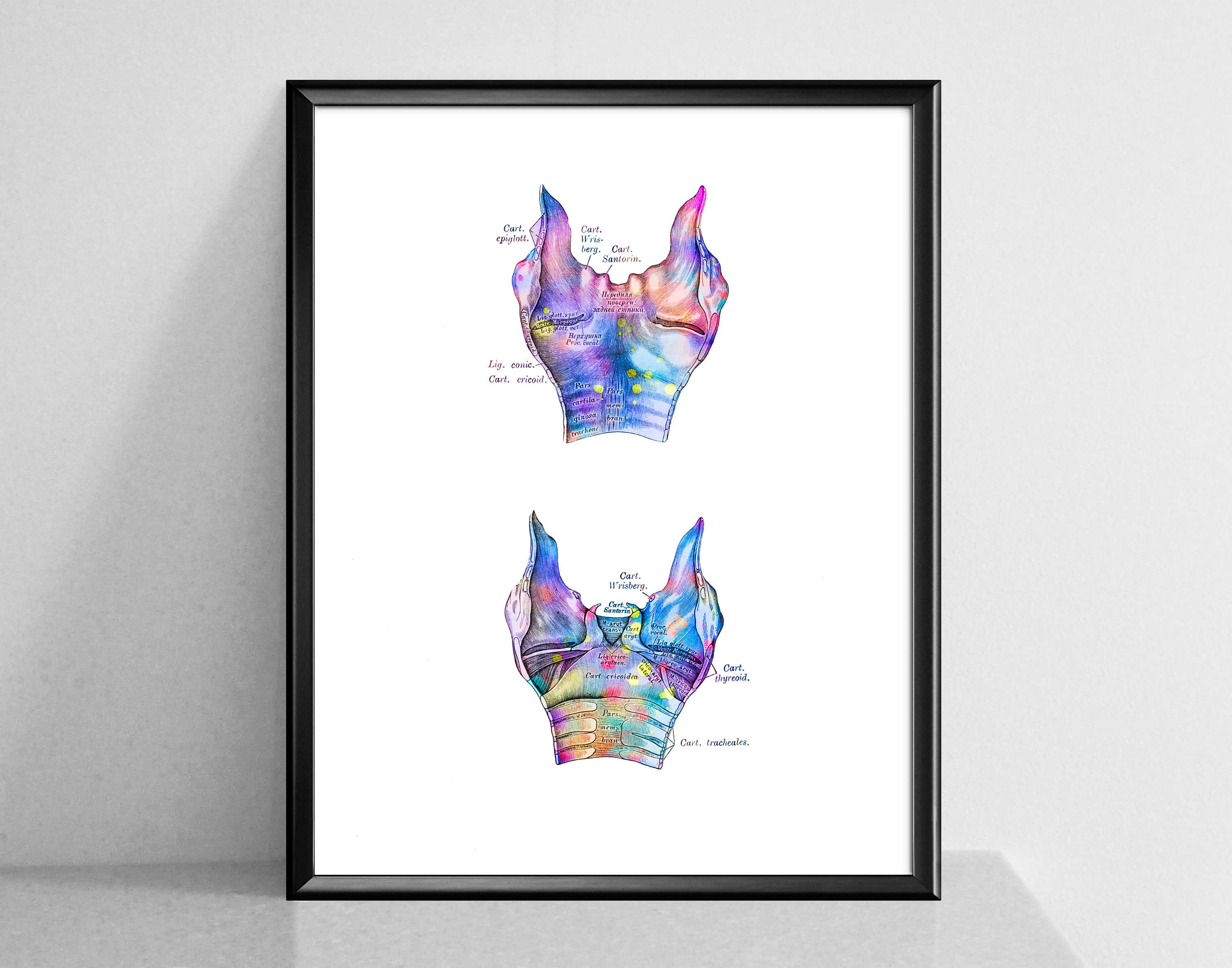 4 Respiratory System Anatomy Poster Anatomical Lungs Art Trachea Art ...