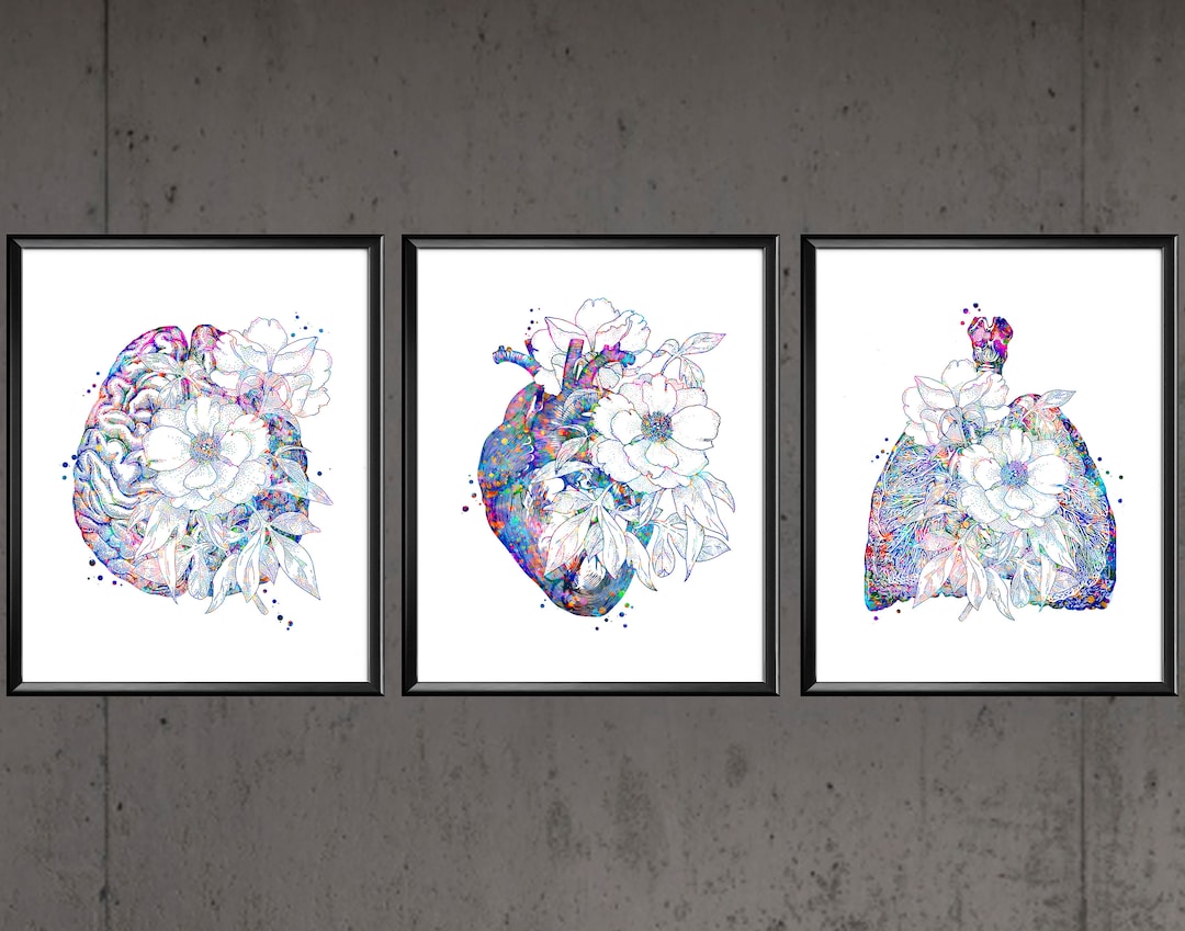 3 Doctor Office Decor, Brain Anatomy, Floral Heart, Lungs and Flowers ...