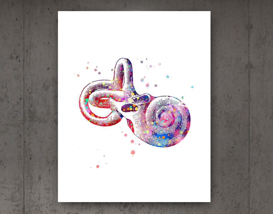 Inner Ear Anatomy Print Set of 6 Cochea Poster Audiologist - Etsy