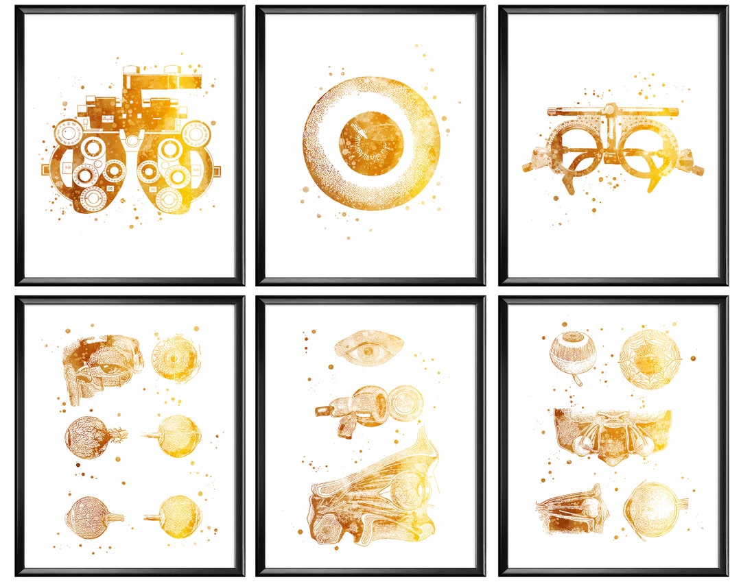 Optometry Art Set of 6, Gold Medical Art, Eye Anatomy Poster, Human ...
