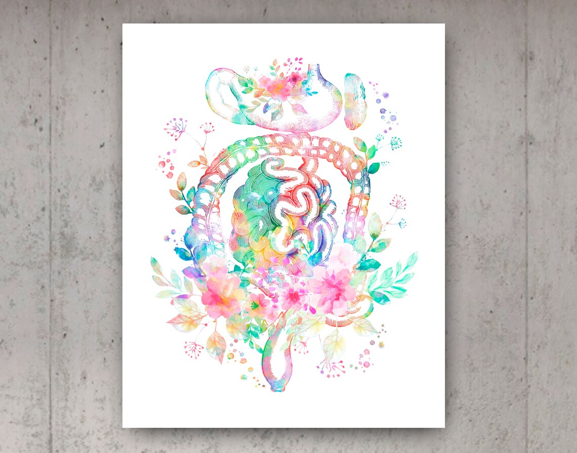 4 Digestive System Anatomy Art Gastroenterologist Gift Floral - Etsy