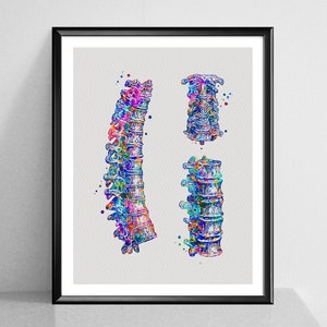 Spine Watercolor Art Vertebral Column Art Medical Poster Spine Center ...