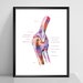 Shoulder Human Anatomy Posters Elbow Joint Art Scapula Bone - Etsy