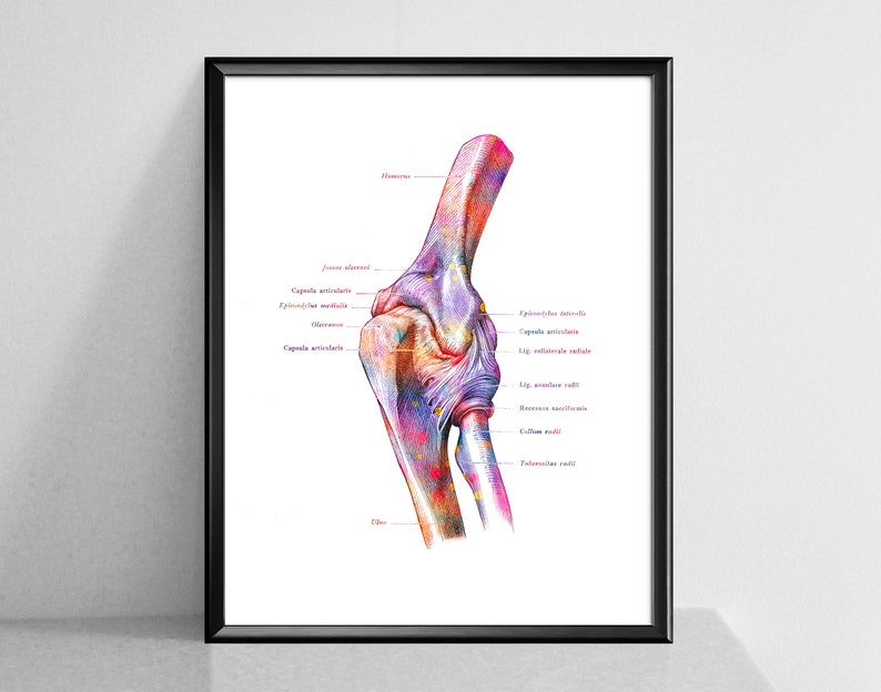 Shoulder Human Anatomy Posters Elbow Joint Art Scapula Bone - Etsy