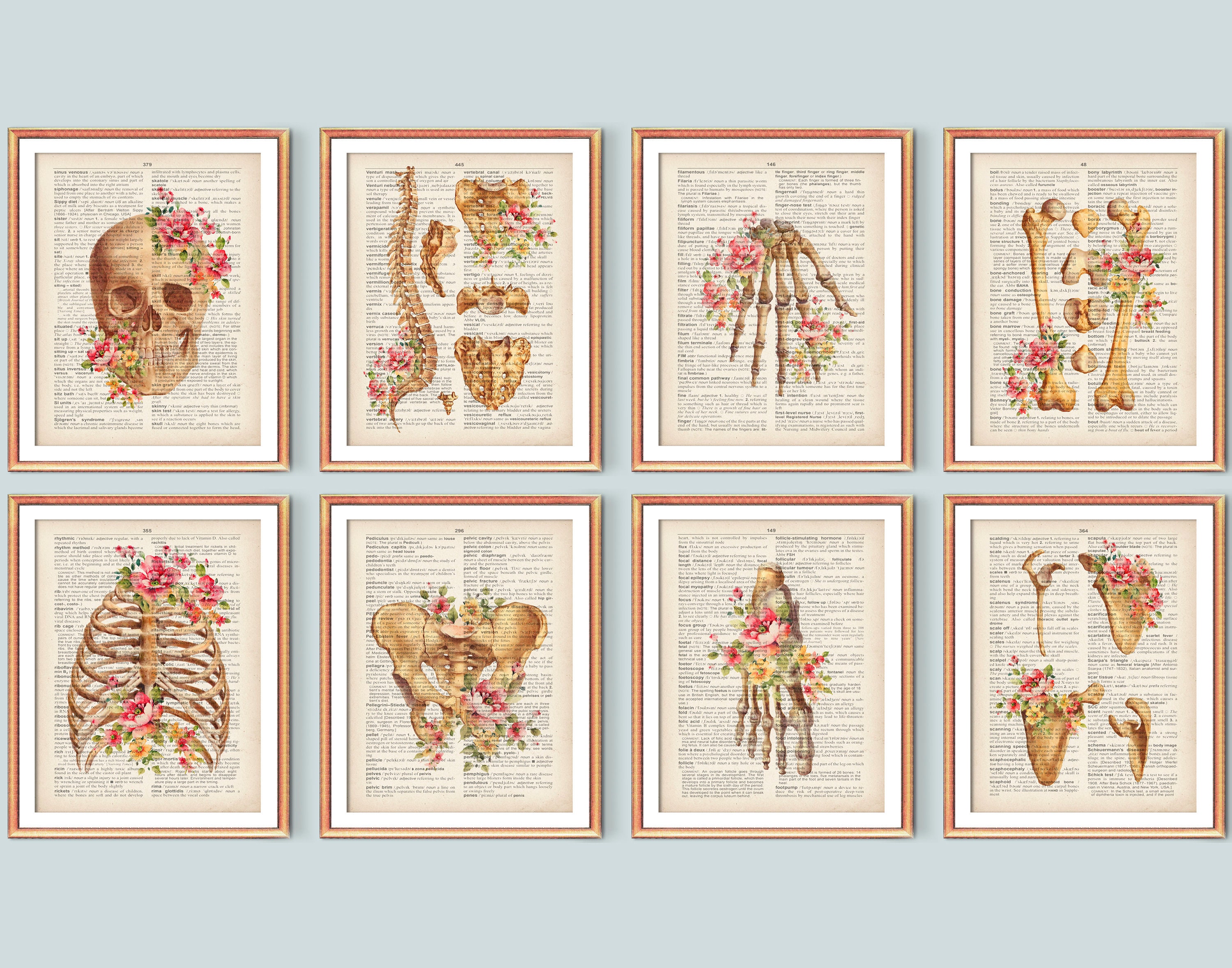 Set 8 Skeleton Anatomy Art Vintage Dictionary Page Medical Decor ...