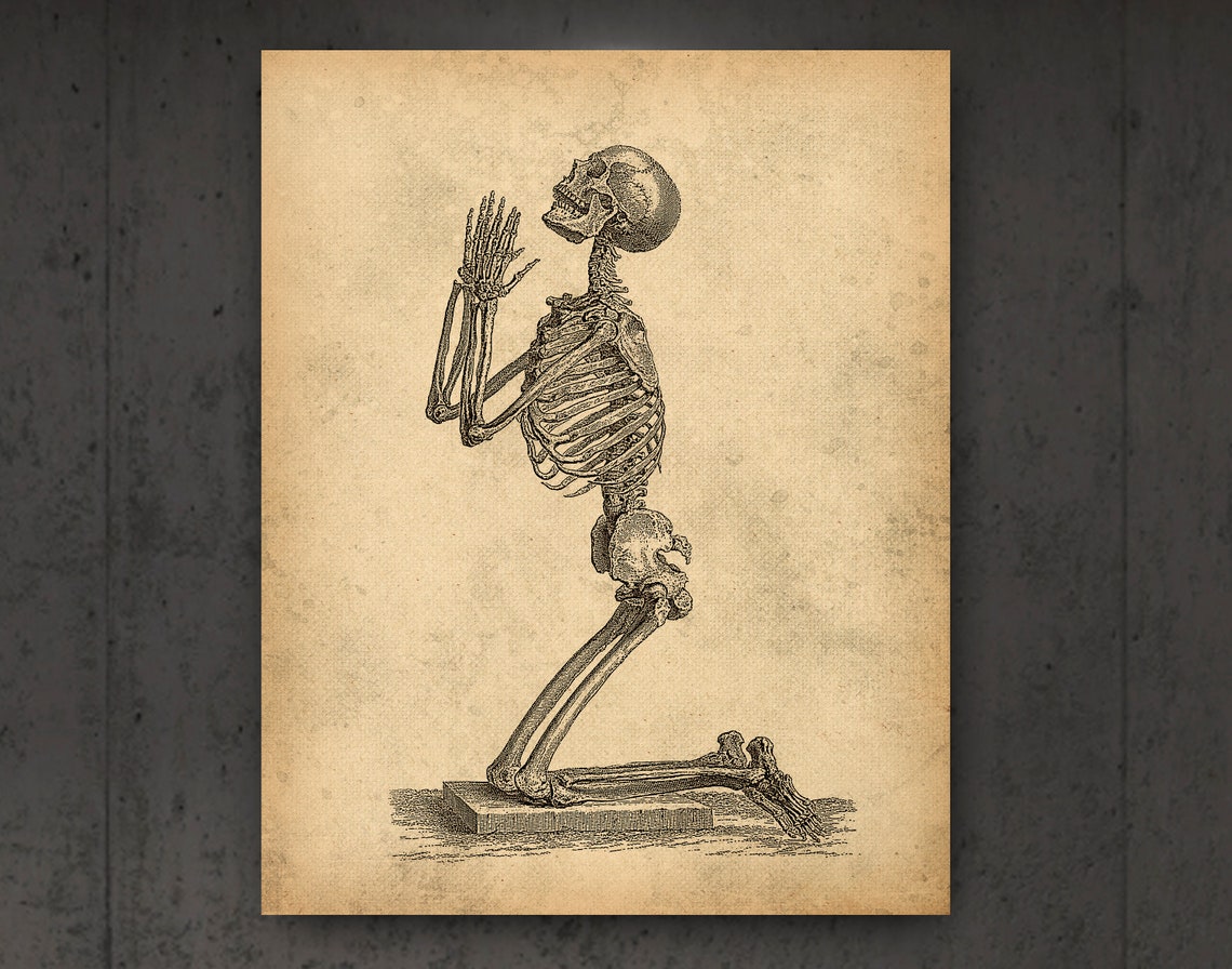 Praying Skeleton Vintage Poster Anatomical Art Medical Print - Etsy