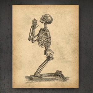 Praying Skeleton Vintage Poster Anatomical Art Medical Artwork Antique ...