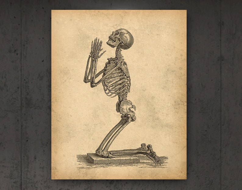 Praying Skeleton Vintage Poster Anatomical Art Medical Artwork Antique ...