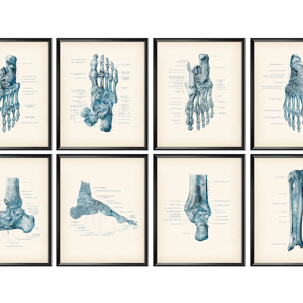 Surgical Tech Poster - Etsy