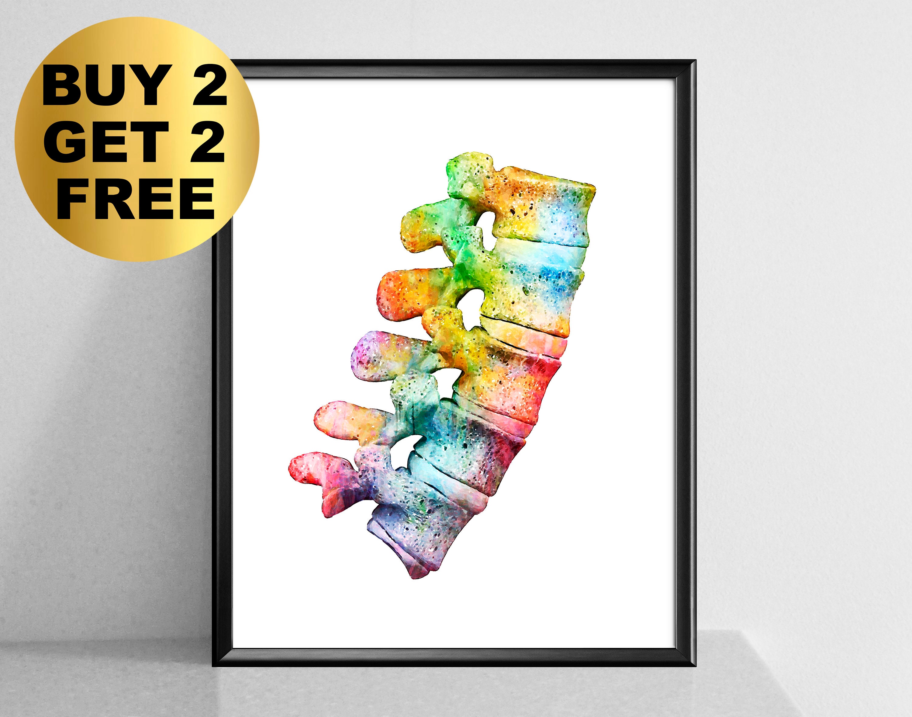 Lumbar Spine Watercolor Art Vertebral Column Art Watercolor - Etsy