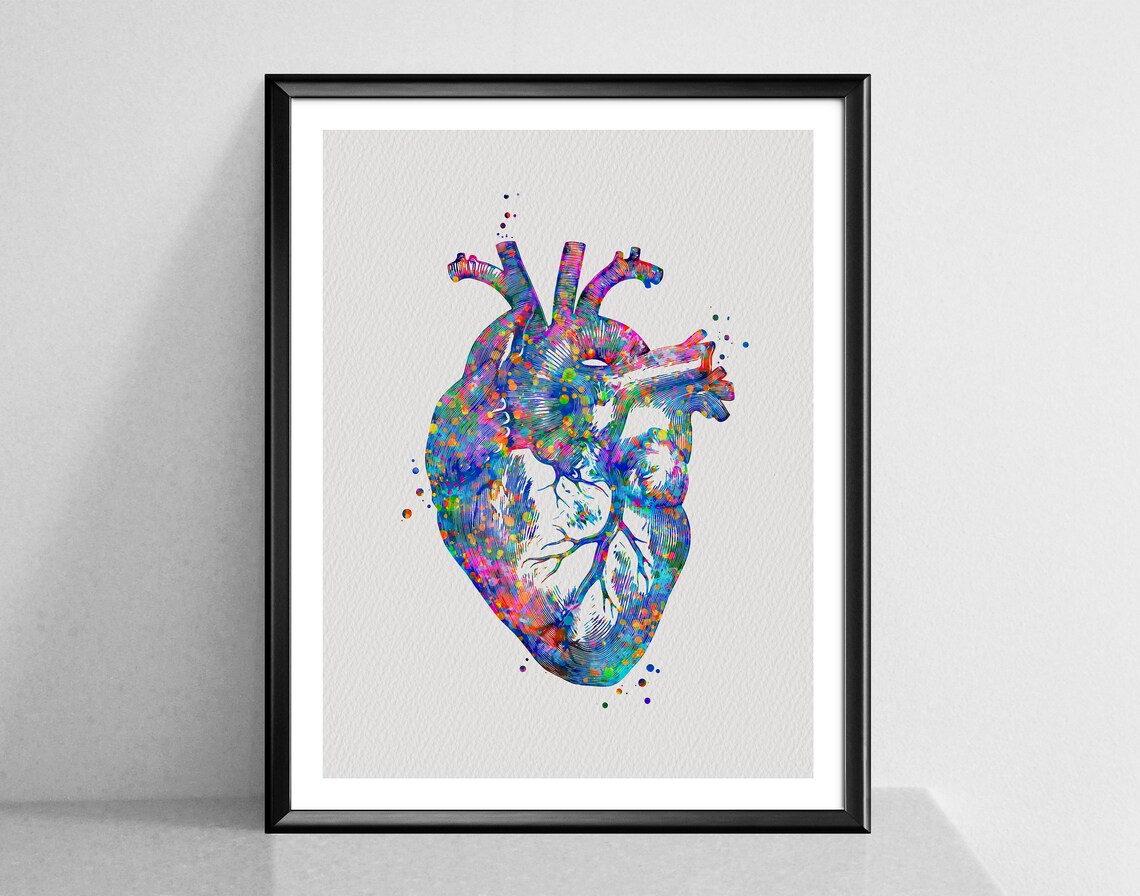 Heart Anatomy Art Watercolor Heart Medical Art Cardiologist Gift Doctor ...