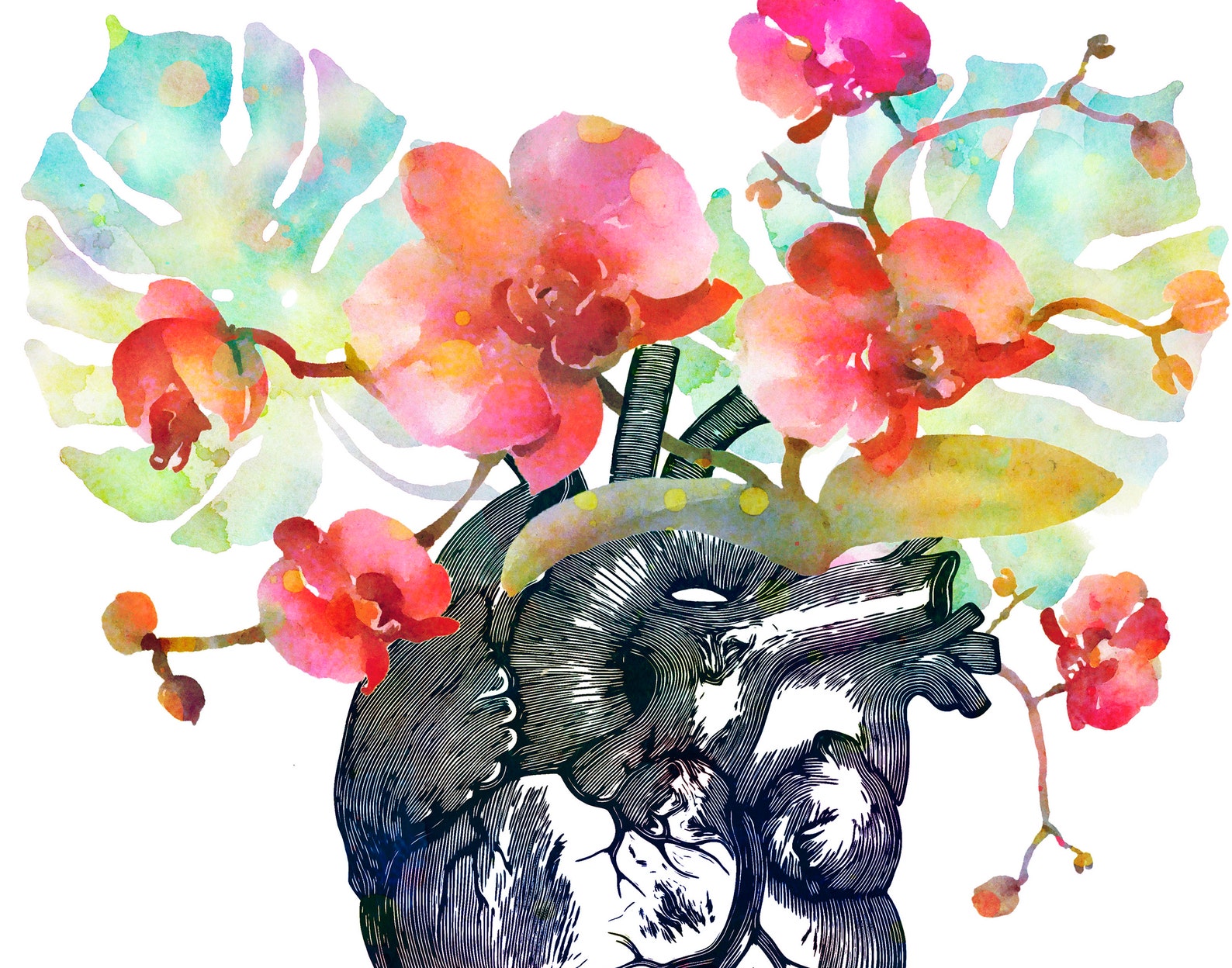 Anatomy Watercolor Poster Set Brain Heart Lungs Kidney Liver | Etsy