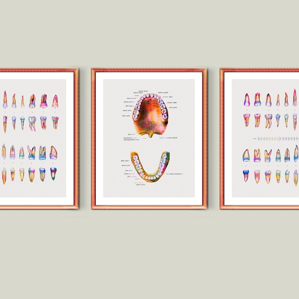 Orthodontist Art - Etsy