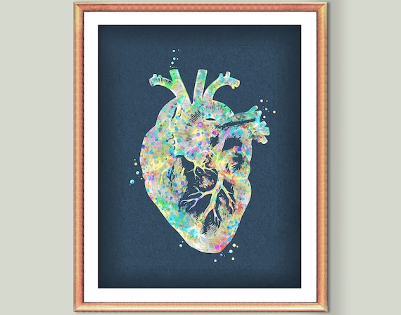 Doctor Gift Cardiologist Gift Human Heart Anatomy Art Medical | Etsy