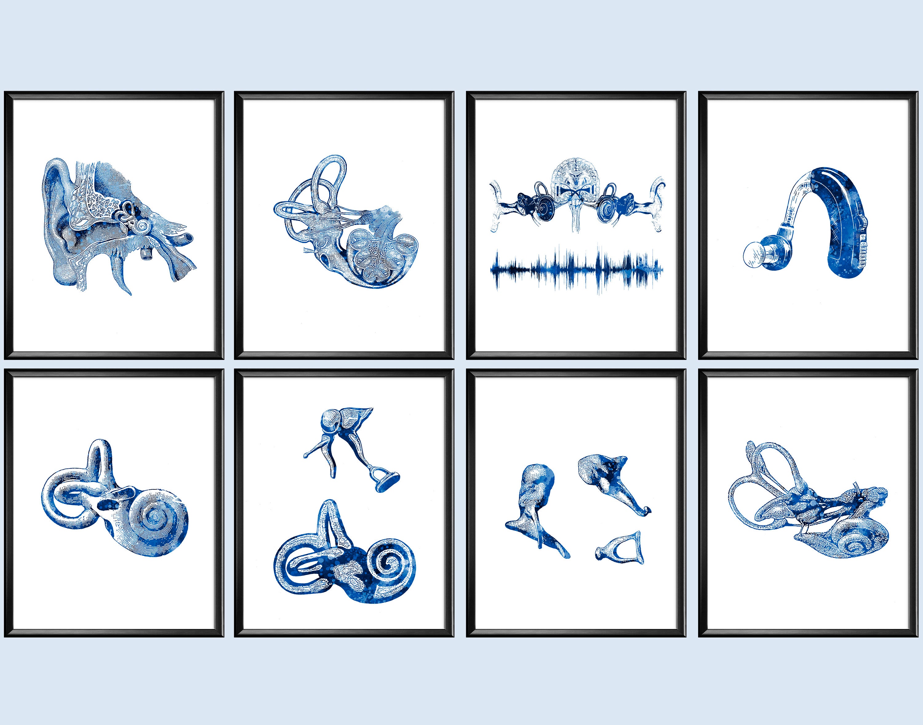 Hearing Art Prints Inner Ear Organs Anatomy Art Binaural - Etsy