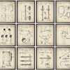 Ear Anatomy Poster Set of 12 External Middle Inner Ear Structure ...