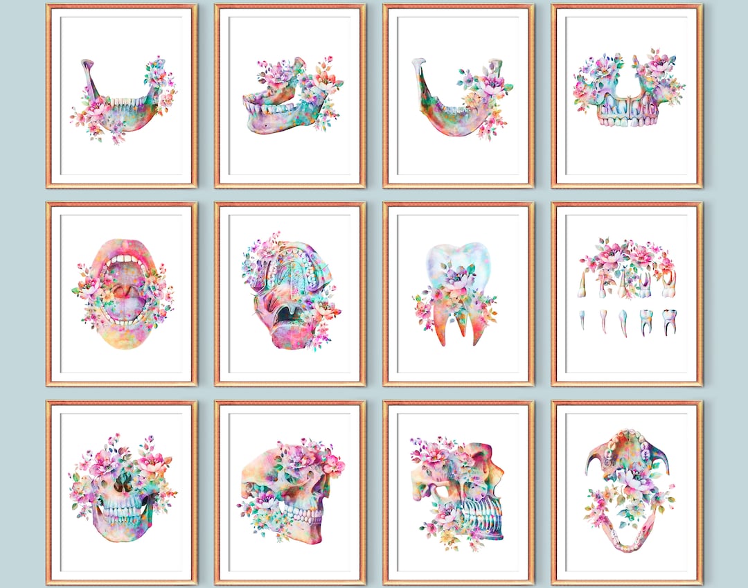 12 Floral Dental Art Dentistry Poster Dentist Gift Tooth Anatomy Jaw ...