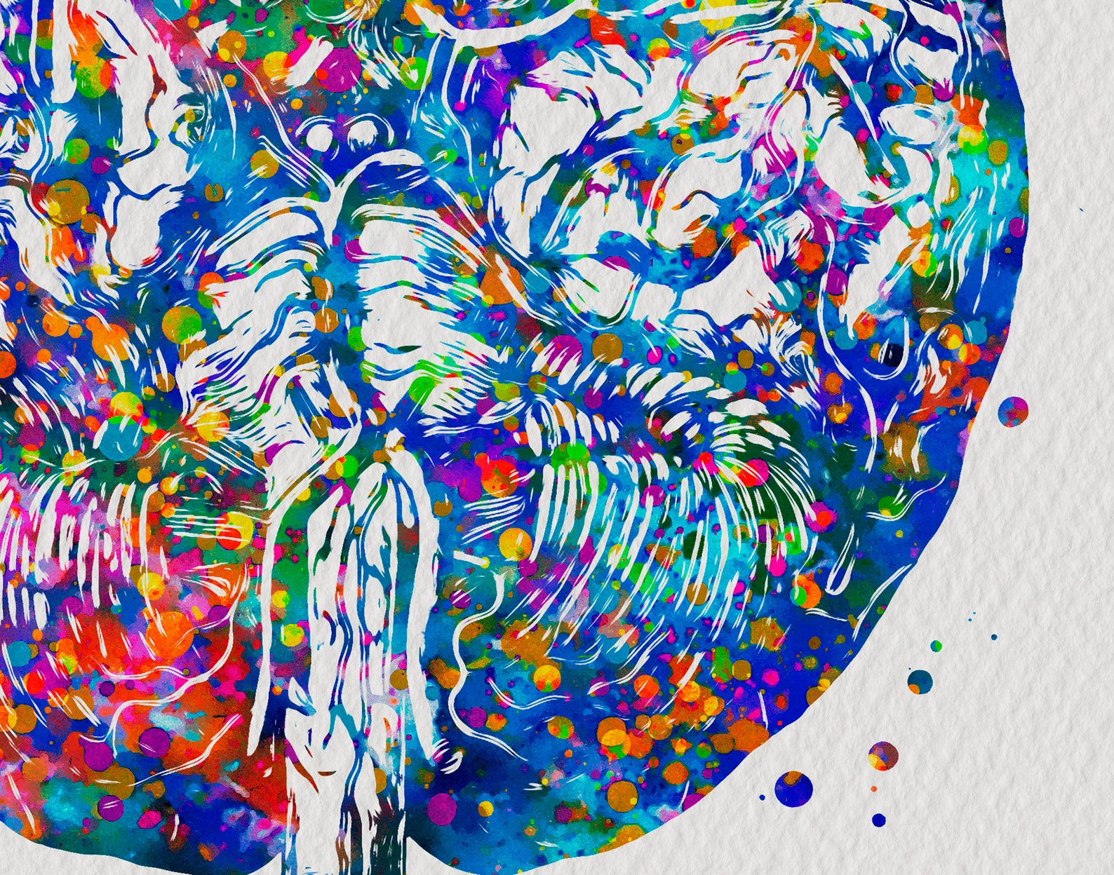 Neurology Poster Brain Anatomy Art Doctor Office Decor - Etsy