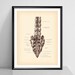 Spinal Anatomy Print Vertebral Column Vertebral Structure - Etsy