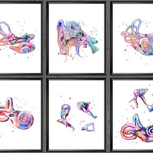 Inner Ear Anatomy Print Set of 6 Cochea Poster Audiologist Gift Hearing ...