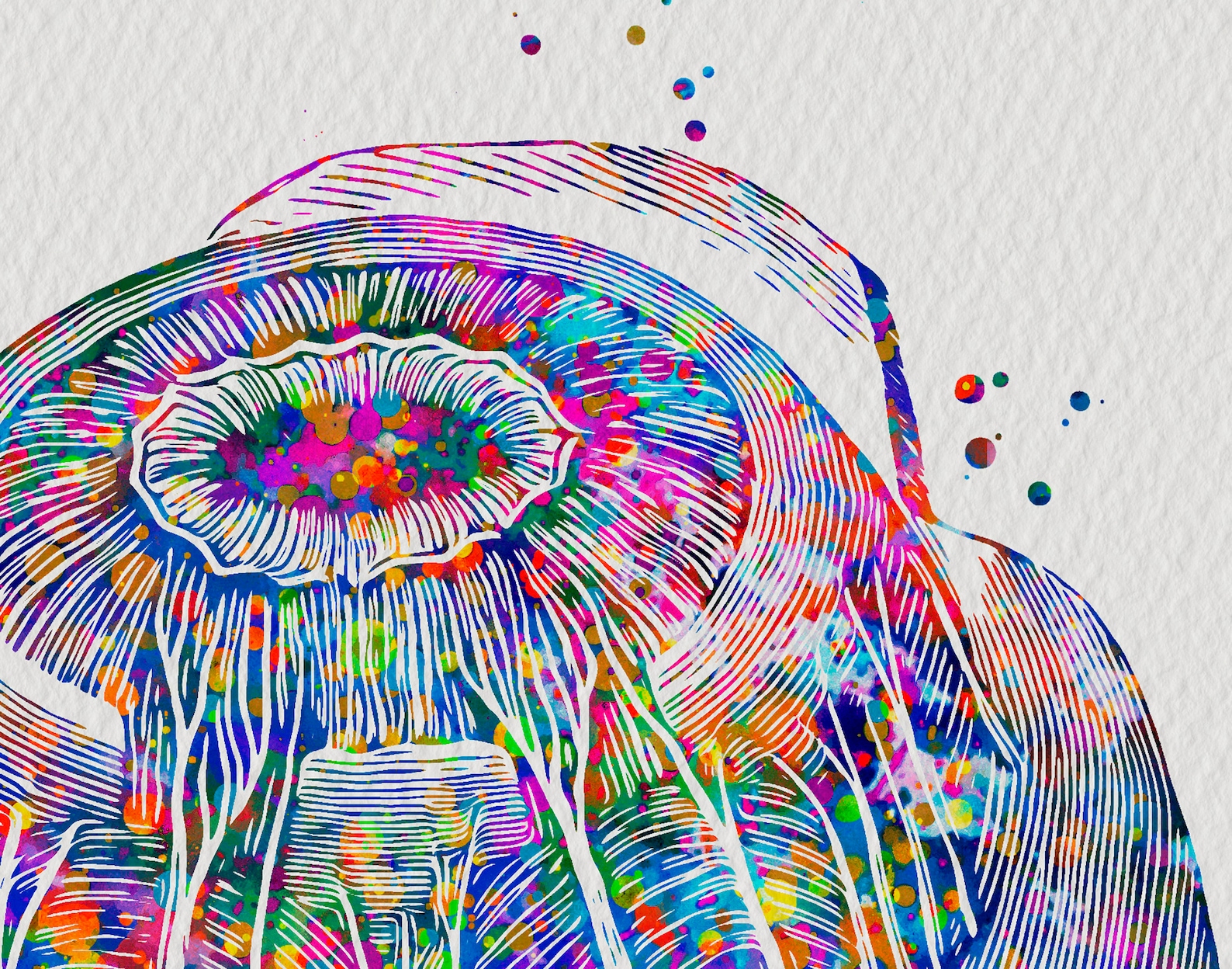 Retina Art Pupil Watercolor Art Eye Anatomy Medical Art - Etsy