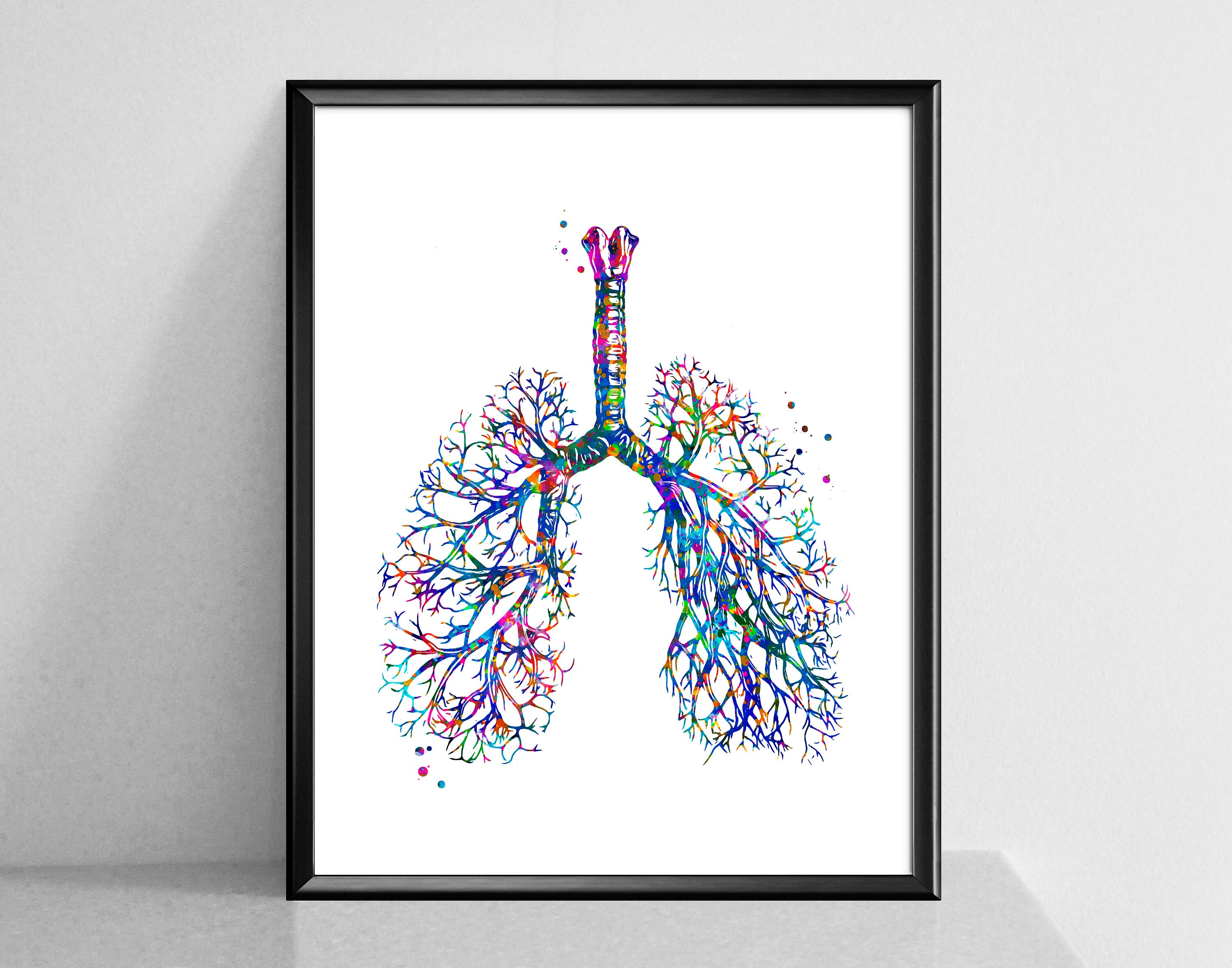 Bronchial Tree Print Trachea Lungs Anatomy Art Medical Poster | Etsy