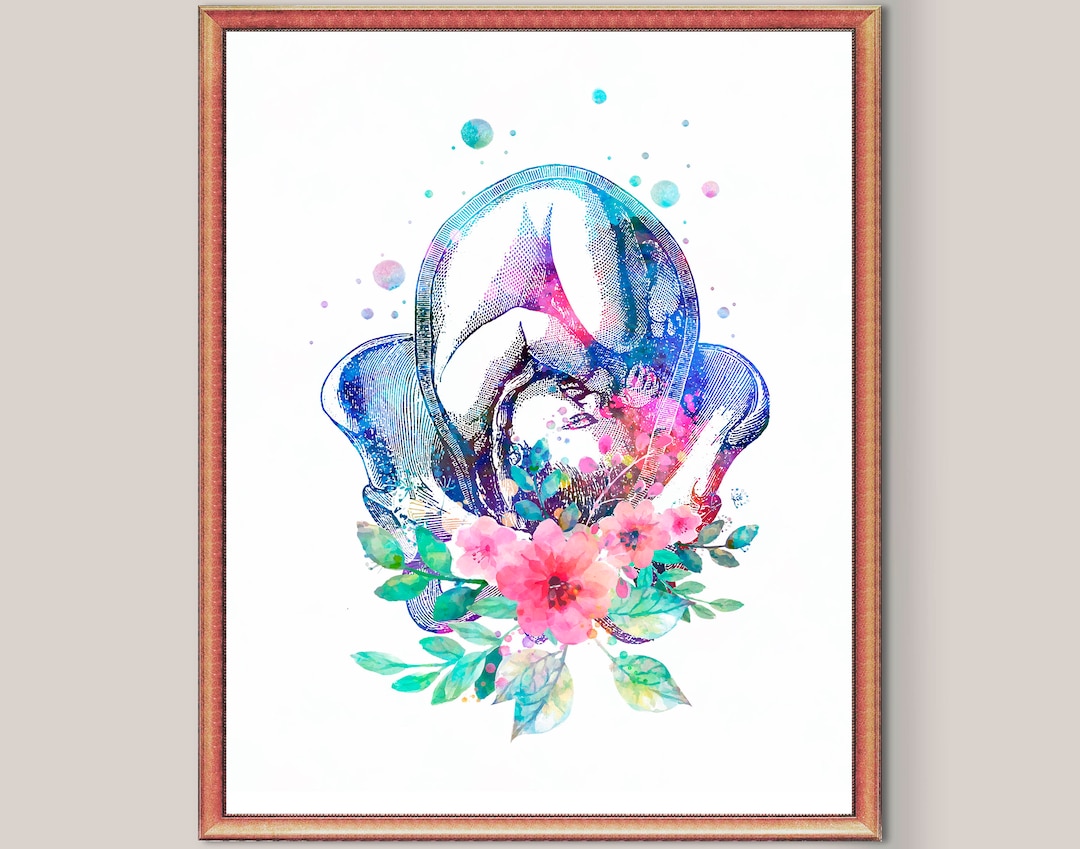 Fetus Art, Anatomy Art, Pregnancy Art, Medical Art, Baby in Womb ...