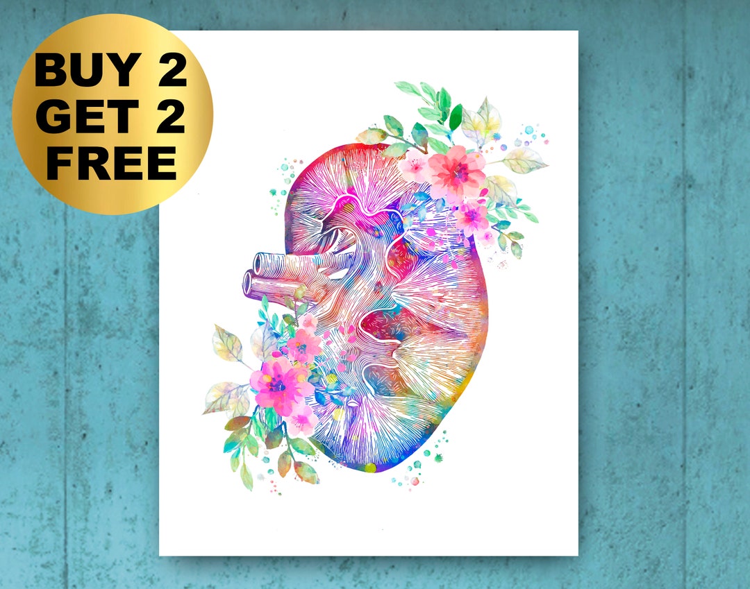 Floral Anatomical Kidney Art Print Medical Art Urinary System Internal ...
