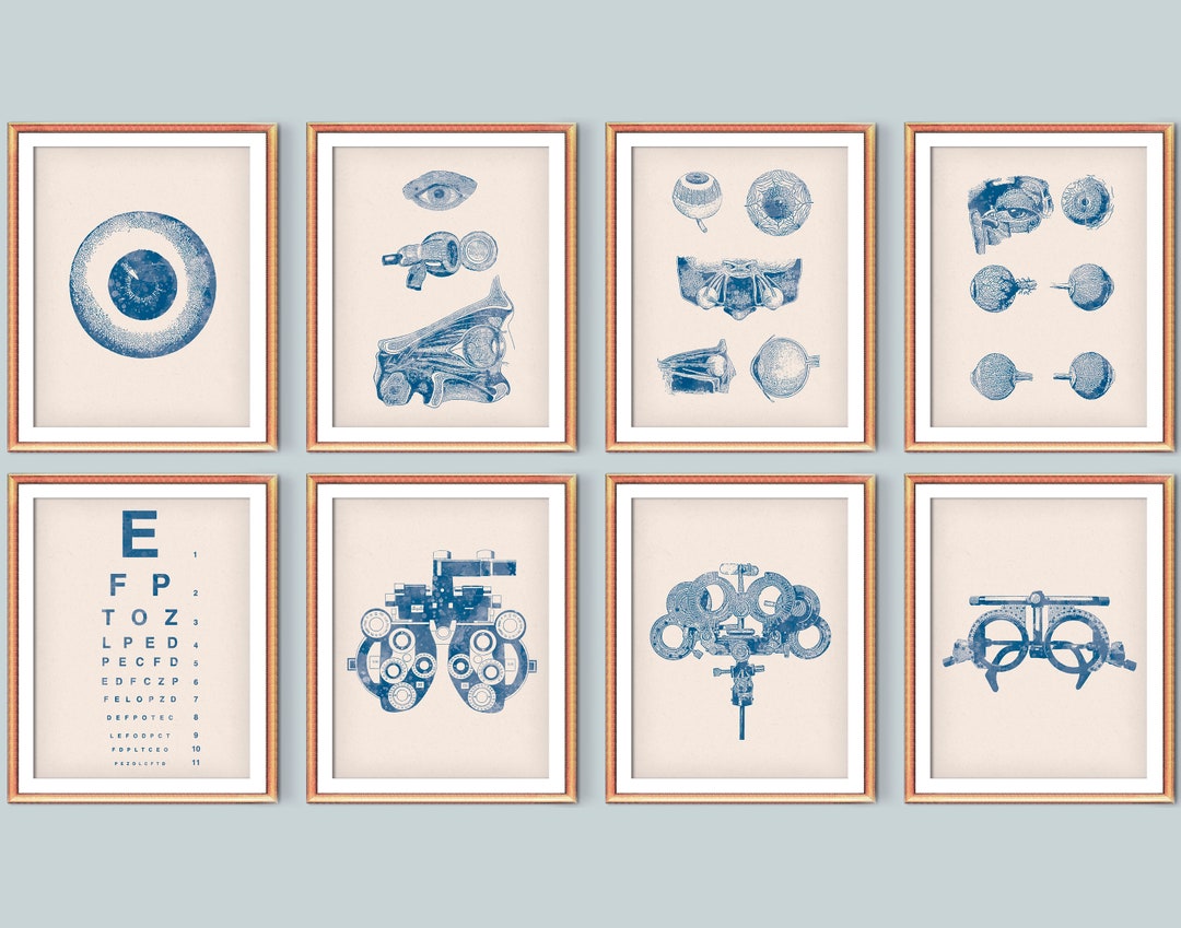 Optician Gift, Human Eye Anatomy Decor, Medical Art, Optometrist Gift ...