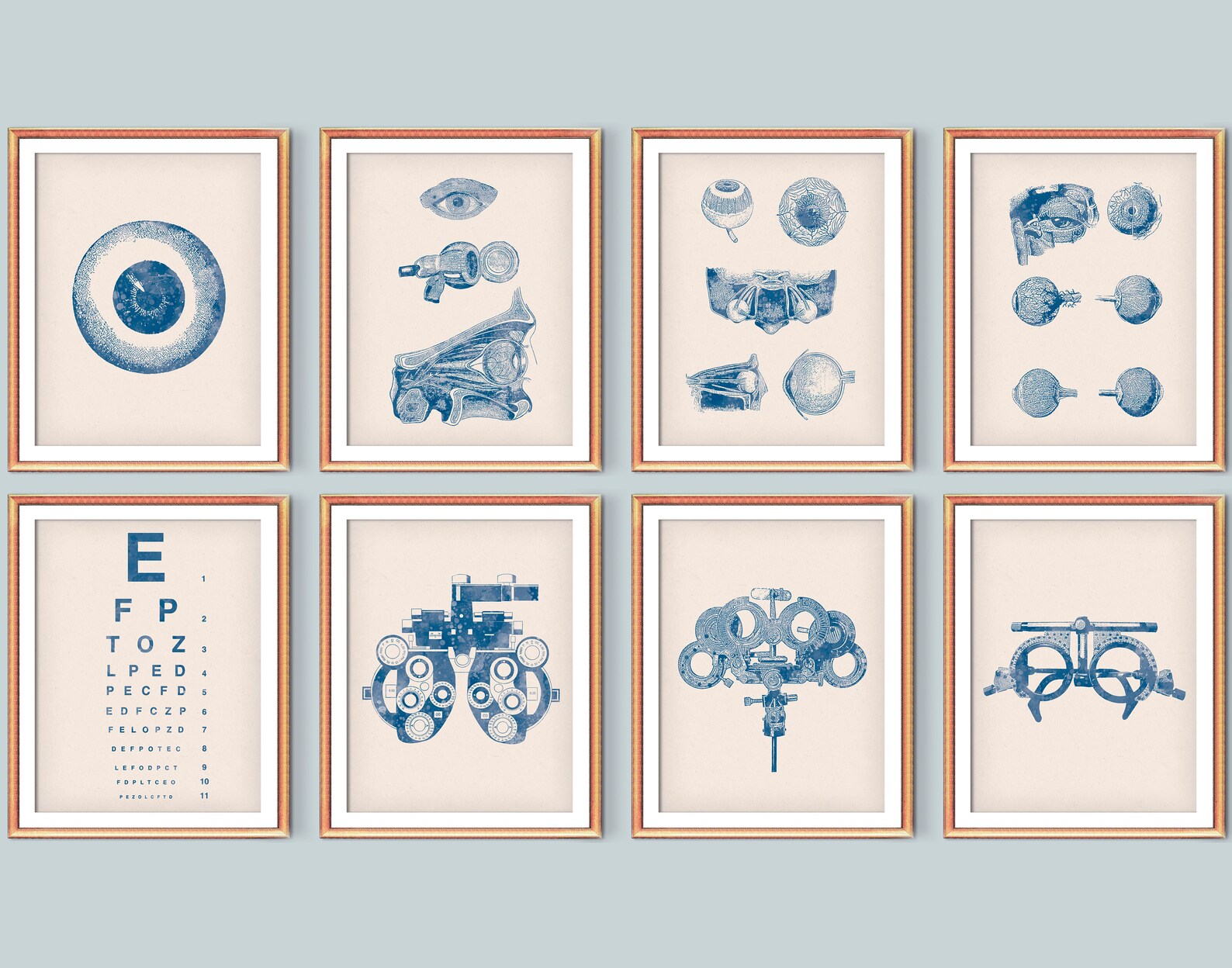 Optician Gift Human Eye Anatomy Decor Medical Art | Etsy