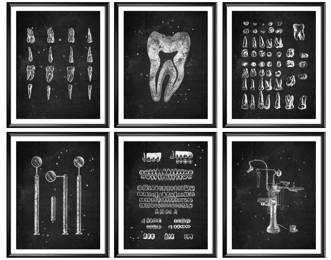 6 Dental Anatomy Posters Dentist Office Gift Dentistry Art Medical ...