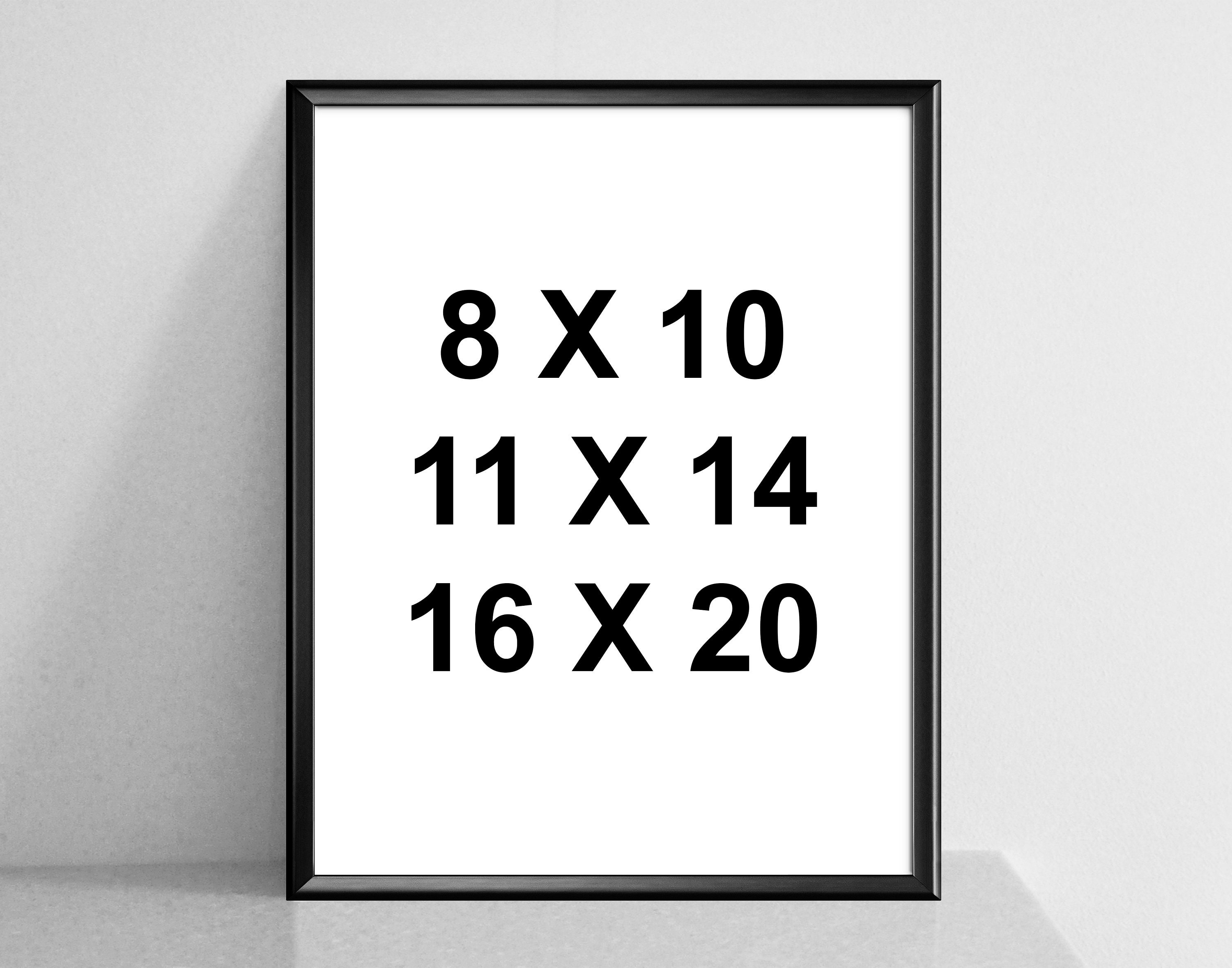 Female External Genital Organs Reproductive System Anatomy - Etsy