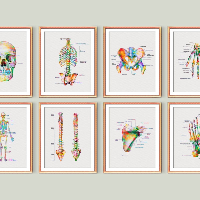 Medical Art - Etsy