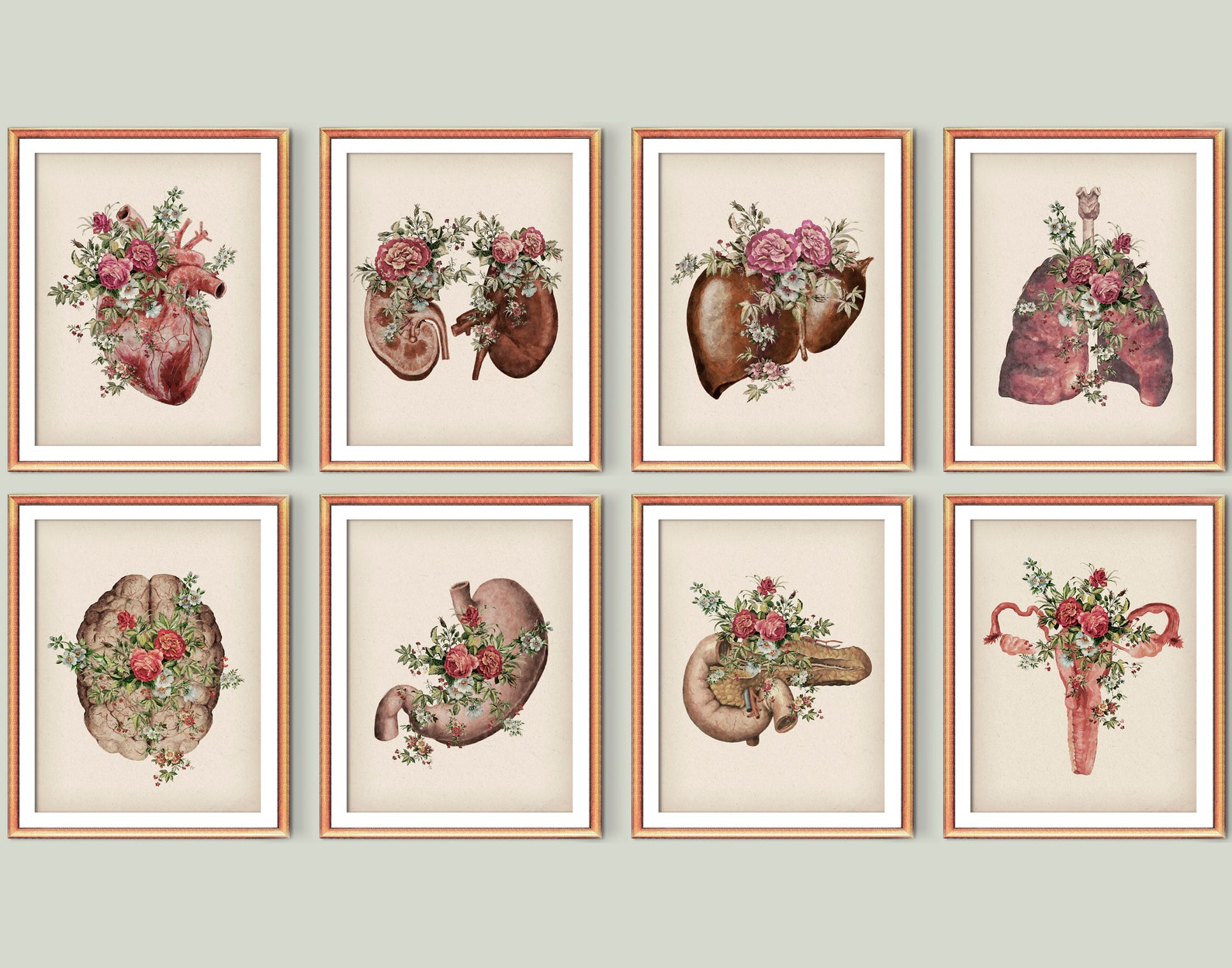 8 Vintage Medical Illustrations Watercolor Anatomy and Flowers Art ...