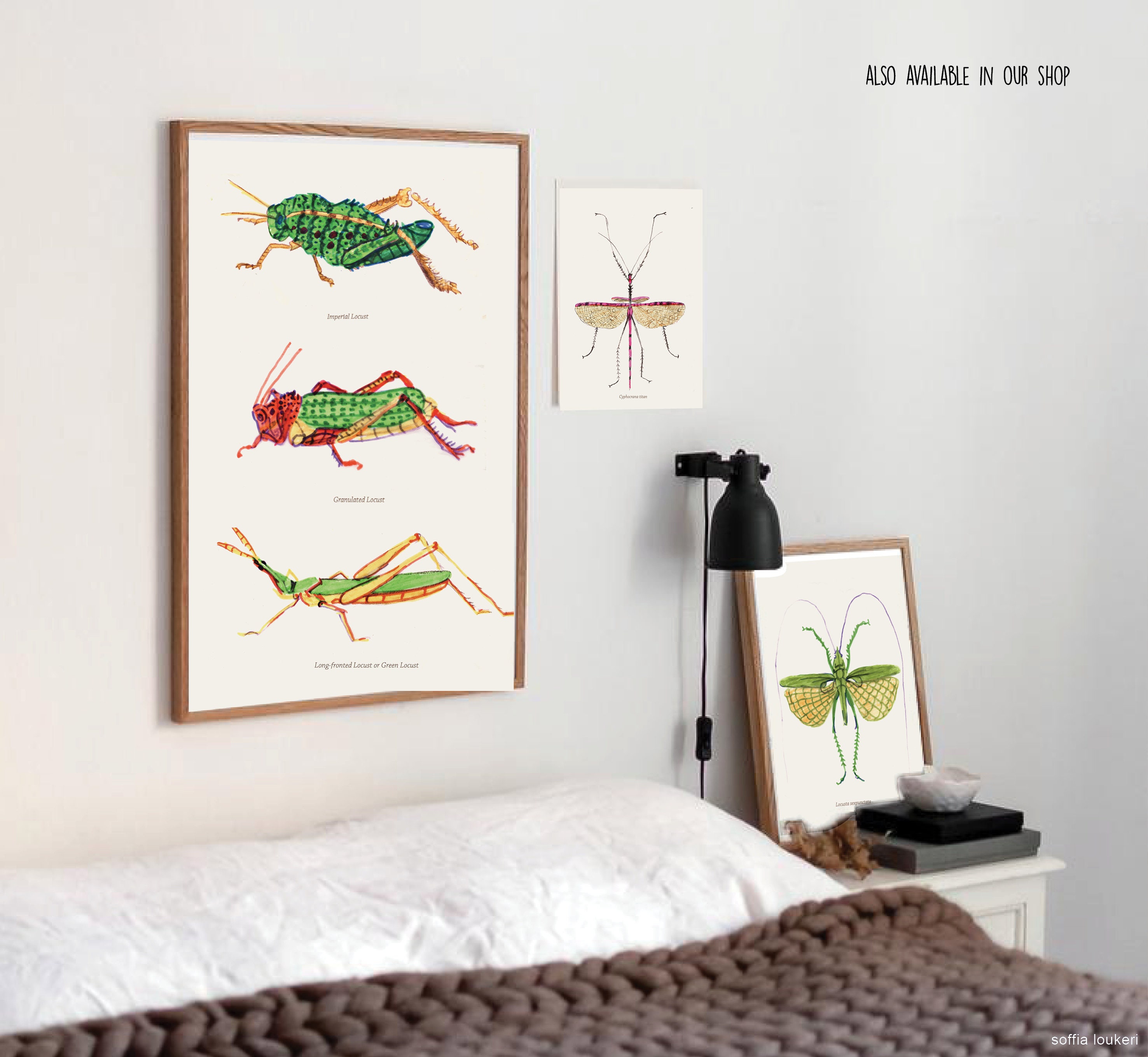 Locust Print Insect Illustration Wall Art Poster Natural - Etsy UK
