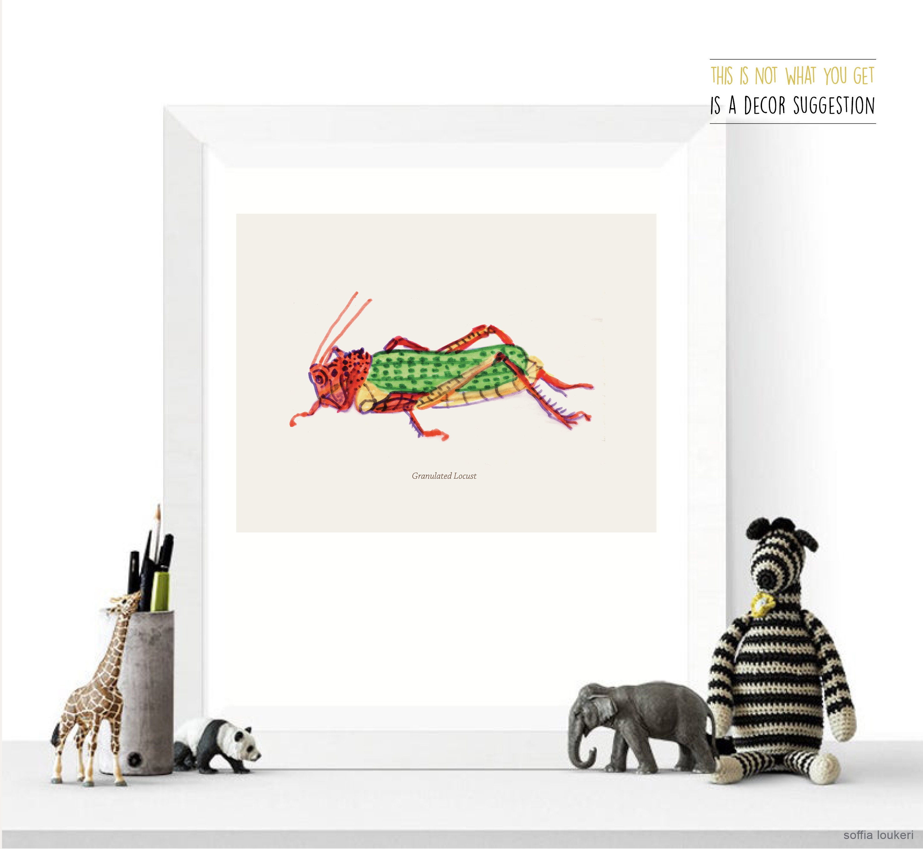 Locust Print insect illustration Wall Art Poster Natural | Etsy